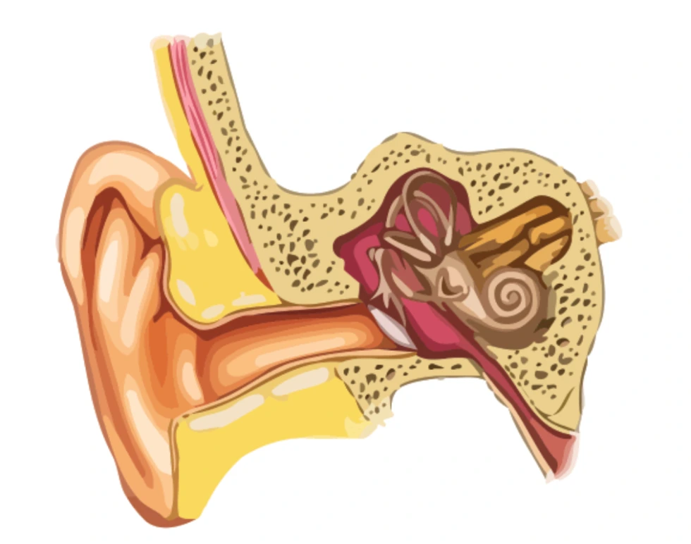 Grommets (Ventilation Tubes) for Children’s Ears: A Guide - Medikeri