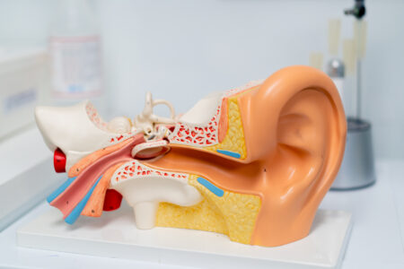 Fungal Infections of the Ear (Otomycosis): Causes, Symptoms, and ...